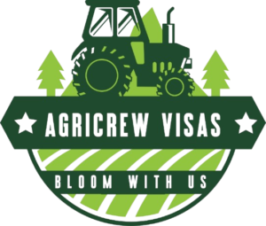 H2A Application Form – Agri Crew Visas